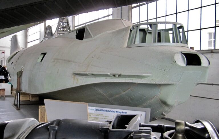 World Catalina News - June 2020 - The Catalina Society